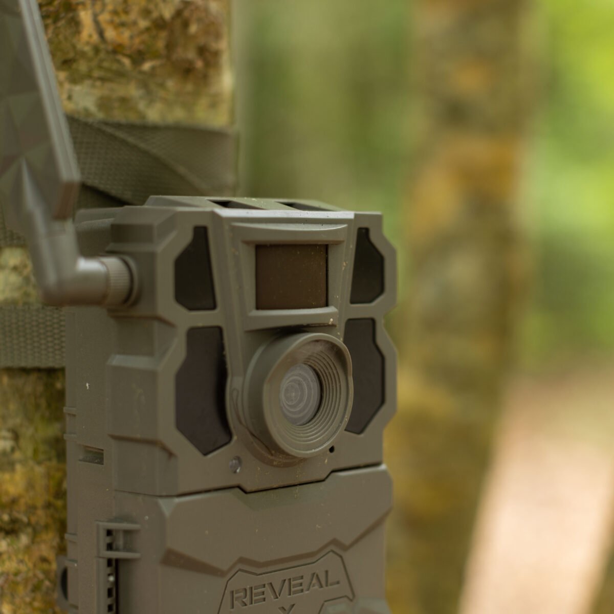 Virginia Open Fields - Institute for Justice