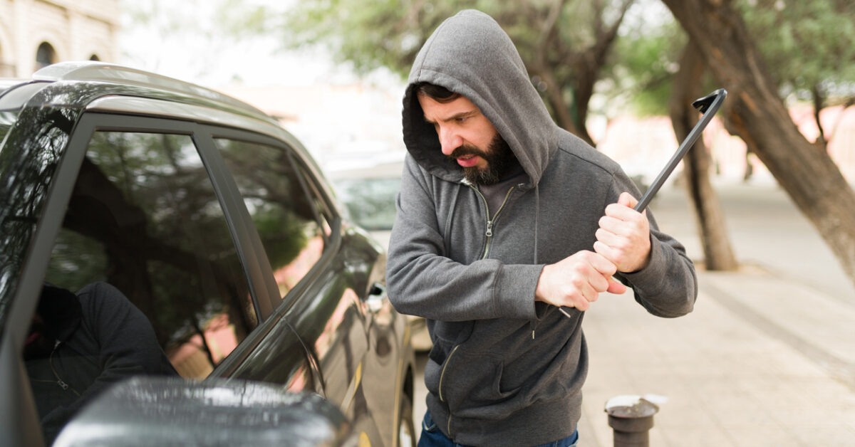 Carjacking, arson, and obscured license tags. - Institute for Justice